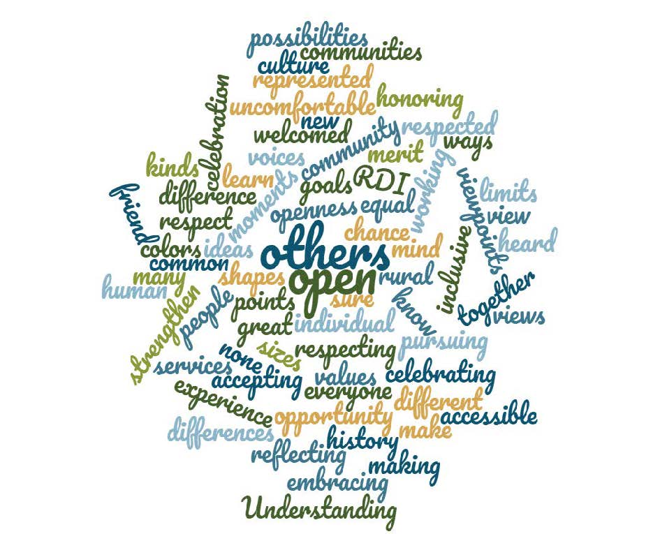 Reports - Rural Development Initiatives